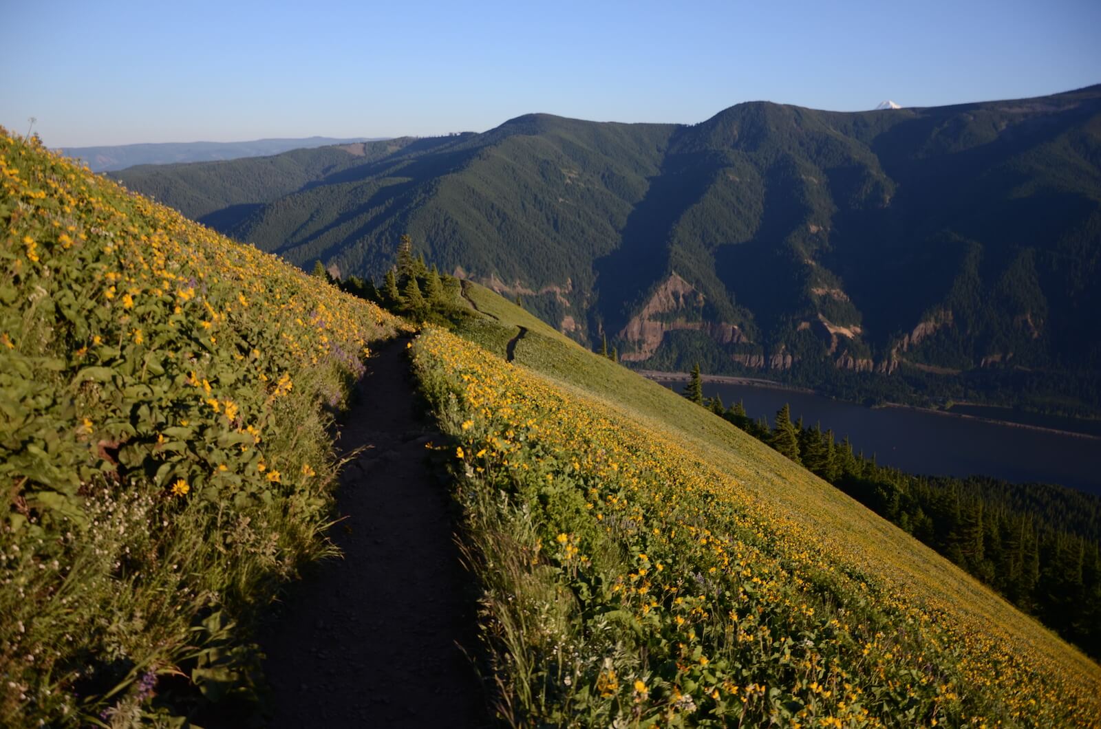 Full Path Transit Technology - Full Path